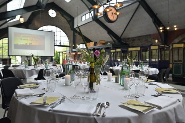 Teambuilding I Jylland – Styrk Samarbejdet I Ree Park Safari